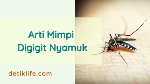 Mimpi Digigit Nyamuk: Tanda Gangguan Kecil atau Masalah yang Mengintai?