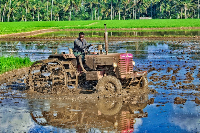 Makna Mimpi di Sawah: Simbol Kesuburan atau Pekerjaan Berat?