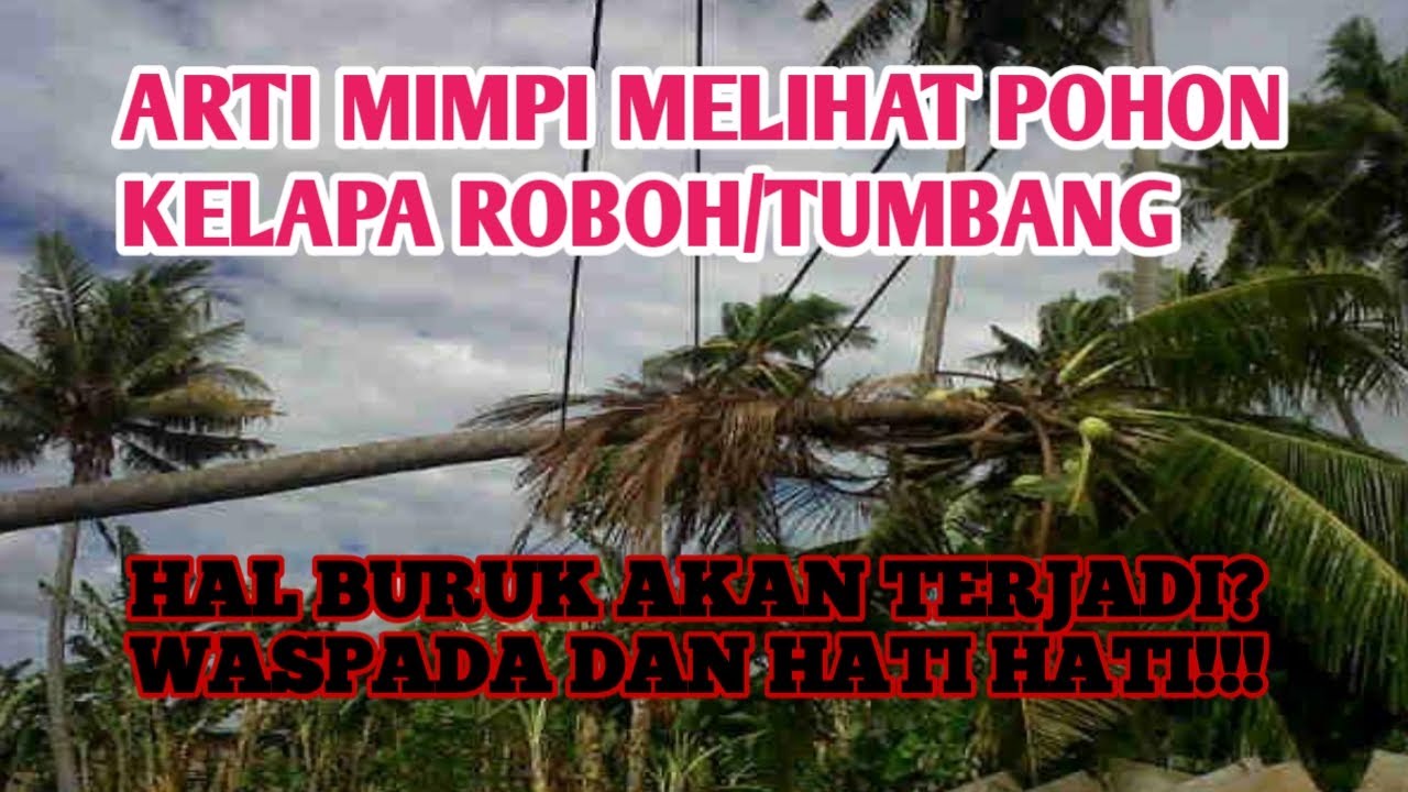 Arti Mimpi Memotong Ranting Pohon: Apa Makna dari Simbol Alam Ini?